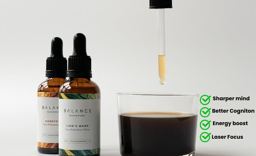 Mushroom Supplement For Energy and Focus (Case Study)