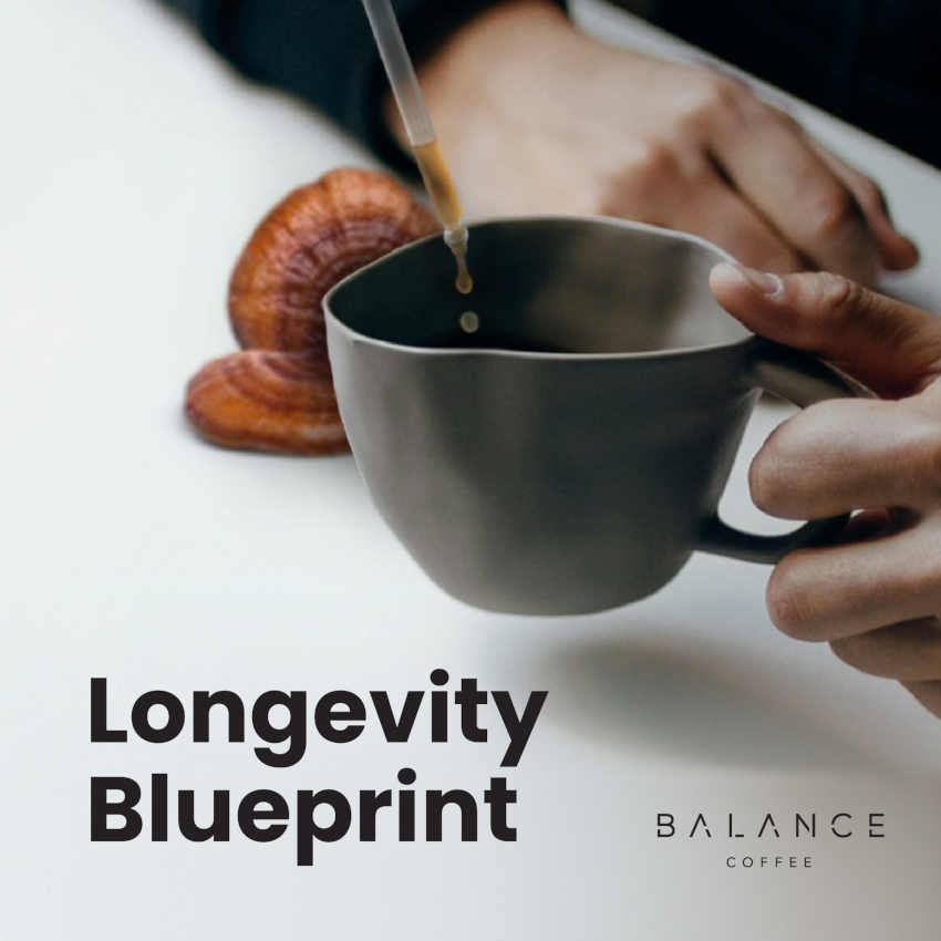 Longevity Blueprint (worth £99)